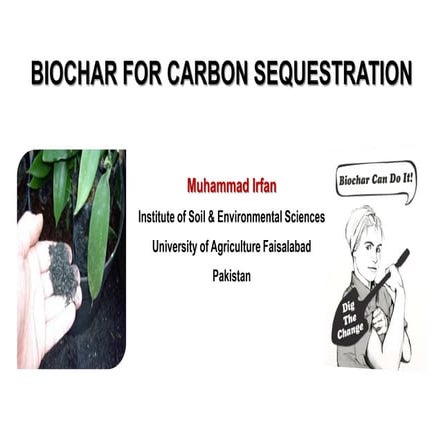 Biochar for Carbon Sequestration.pdf