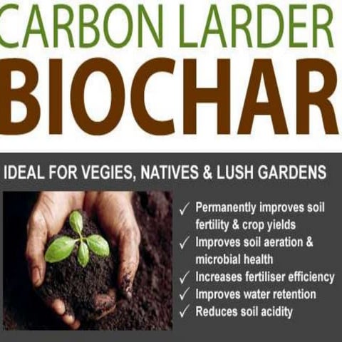 Biochar pres. | PPT