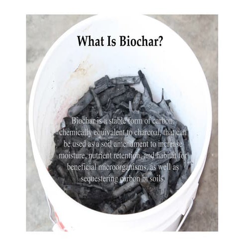 What Is Biochar? | PDF