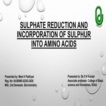 SULPHATE REDUCTION AND INCORPORATION OF SULPHUR INTO AMINO ACIDS | PPTX