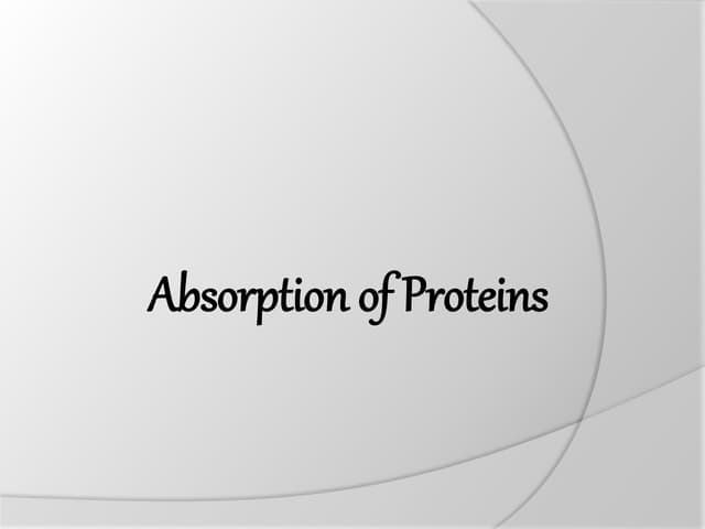 Digestion and absorption of proteins | PPSX