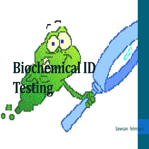 Biochemical id testing 2012 By Miss Sawsan Flemban | PPT