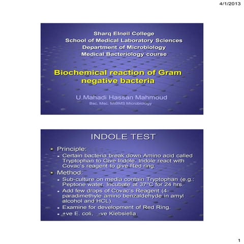 Enterobacteriaceae , Enterobacter and their Biochemical Test | DOCX