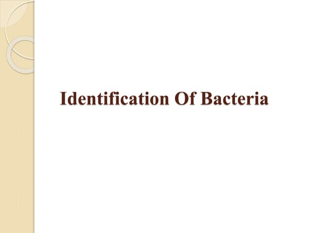 Biochemical reactions | PPTX