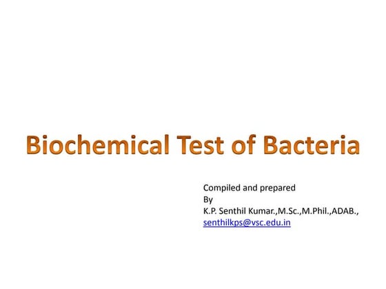 Identifying Unknown Bacteria Lab | DOCX | Chemistry | Science