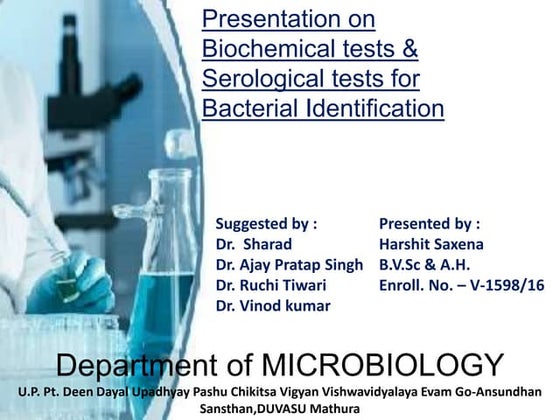 IMViC (Biochemical test) | PPTX | Chemistry | Science