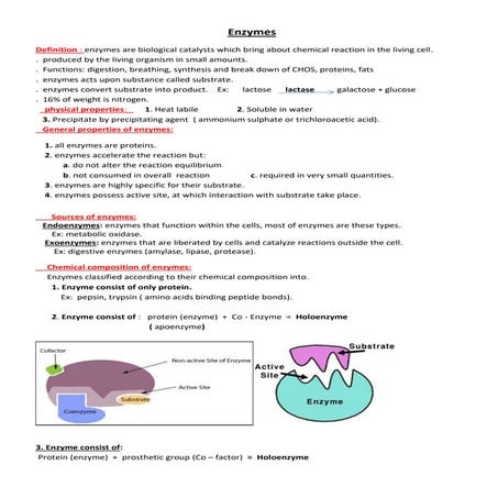 Biochemistry-9-Enzymes.pdf Easy notes zoology | PDF