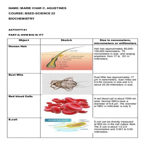 Biochemistry activity | DOCX