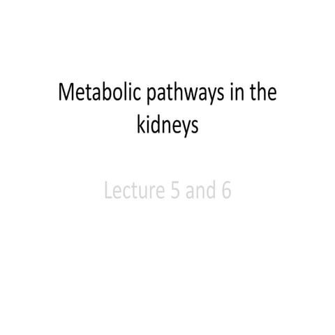 Biochemistry of Kidney-5 and 6.pdthfjdfhrtf | PDF