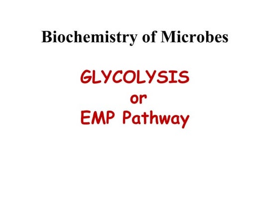 Lactobacilli- Homo and Hetero lactic acid Fermentation and its ...