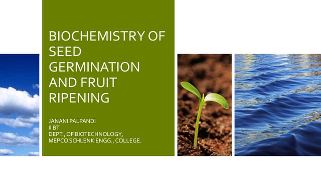 Plant embryo development | PPTX