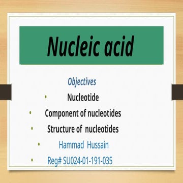 Nucleic Acid by hammad Hussain according biochem.pptx
