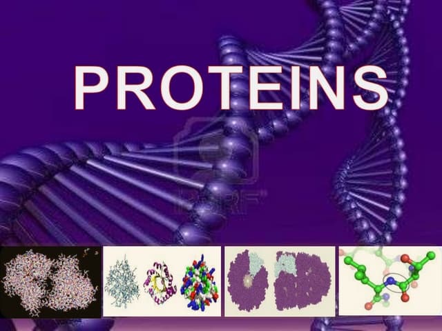 Chapter 3(part1) - Amino acids, peptides, and proteins | PPT