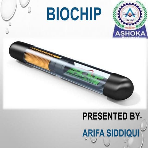 BIOCHIP | PPTX
