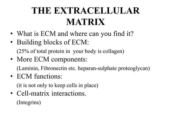 EXTRACELLULAR MATRIX AND ITS COMPONENTS | PPTX | Biological Sciences | Science