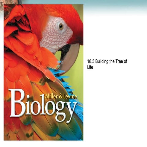 Building a tree of life biology grade 10 | PPT