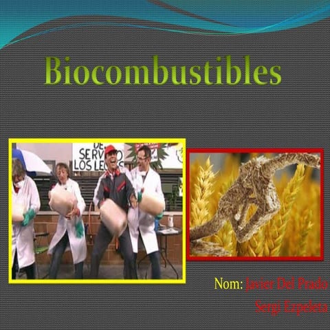 Biocombustibles | PPTX