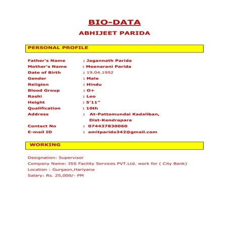BIODATA.pdf