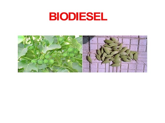 Biodiesel presentation1 | PPT