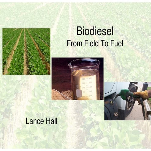 Small Scale Biodiesel Production | PDF