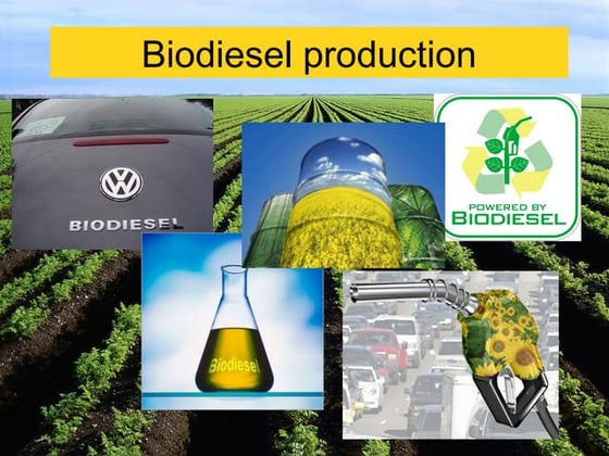 Biodiesel production | PDF | Chemistry | Science