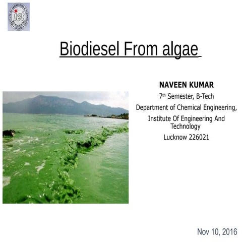Algae fuel