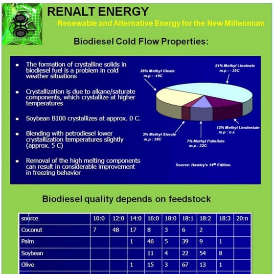 Biodiesel Fuel Production 03 [Infographic] | PDF