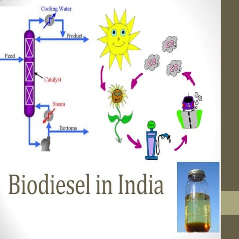 Biodiesel in india 2014 | PDF
