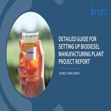 Biodiesel Manufacturing Plant Project Report.pptx