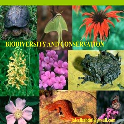 Biodiversity conservation | PPSX