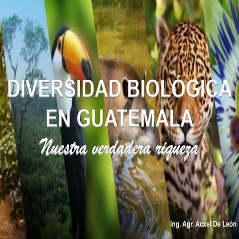 Biodiversidad De Guatemala Y Su Evolución Geológica Pdf