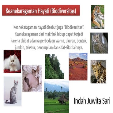 biodiversitas biologi umum deskripsi dan definisi.pptx