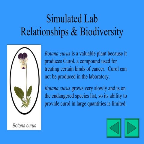 Power_point_NYS_Relationships_and_Biodiversity_Lab.pptx