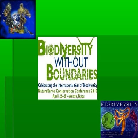 Biodiversity | PPT