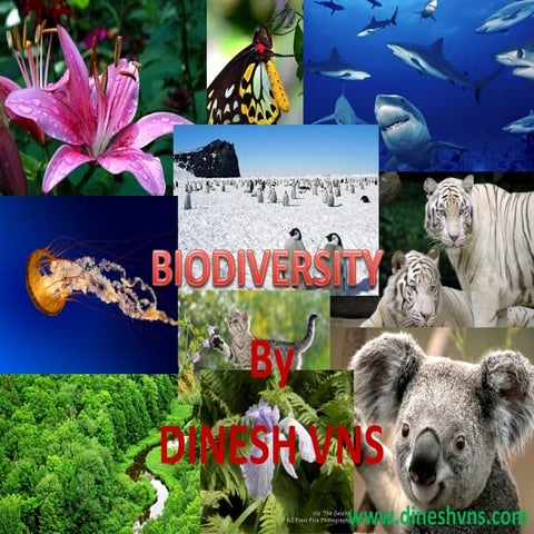 Ecosystems and biomes | PPTX