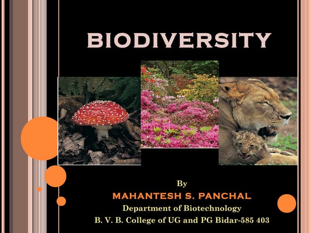Biodiversity & Conservation | PPT