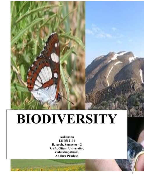 Biodiversity and conservation 11 | PPT