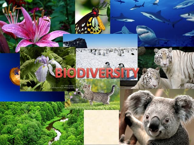PPT OF BIODIVERSITY | PPT