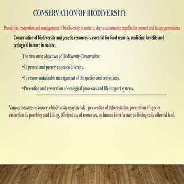 Strategies for conservation of biodiversity | PPT