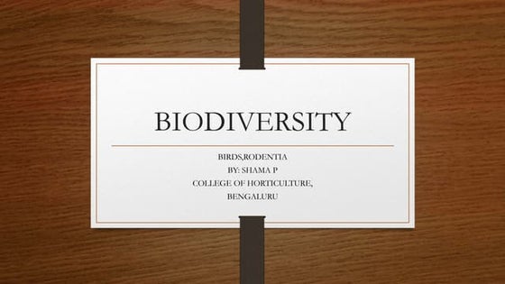 Birds project - collection and identification of birds | PPTX ...