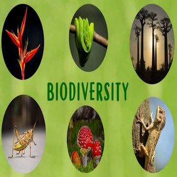 BIODIVERSITY- 20 july (2 ...