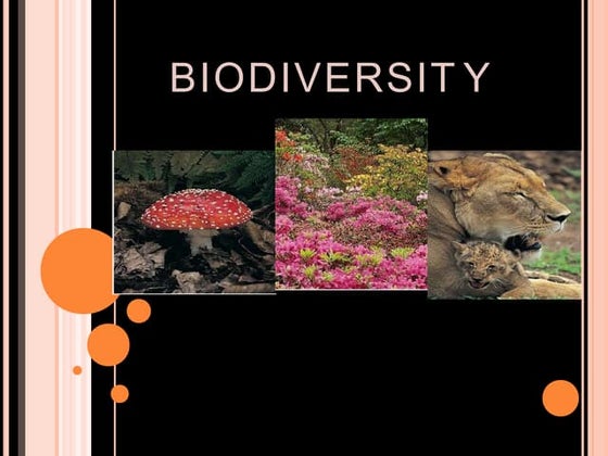 Presentation of biodiversity | PPTX | Biological Sciences | Science