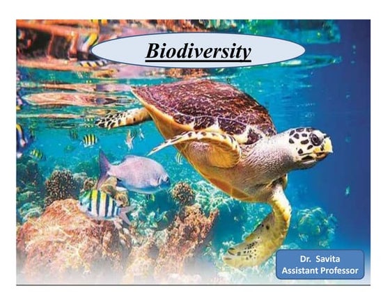 Biodiversity pdf | PDF