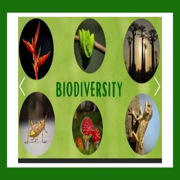 BIODIVERSITY...................................................... | PPT