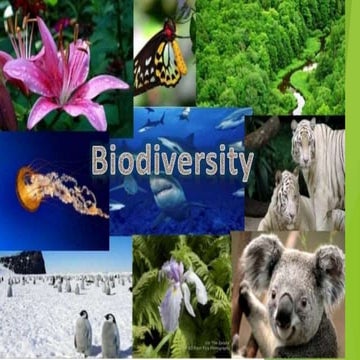 Biodiversity in environment and surroundings.pptx