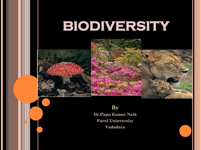 Biodiversity & Conservation | PPT