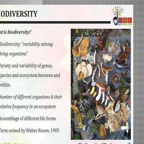 Biodiversity and its conservation | PPTX
