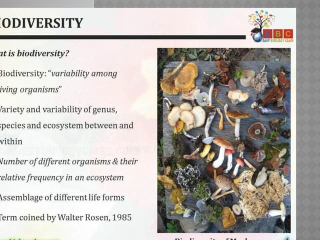 Biodiversity and its conservation | PPTX