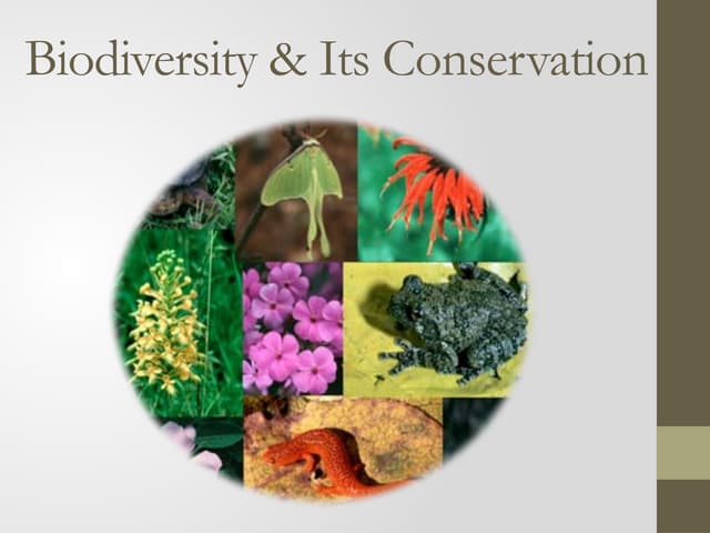 Biodiversity and its Conservation methods | PPTX