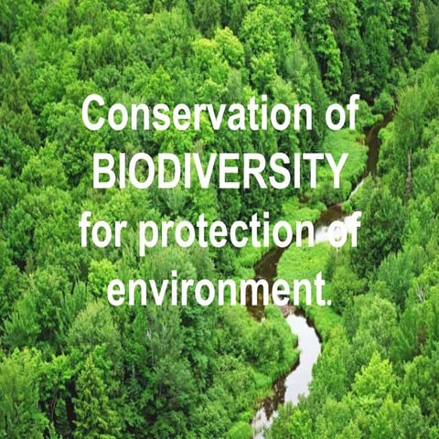 Biodiversity - Copy.pptx